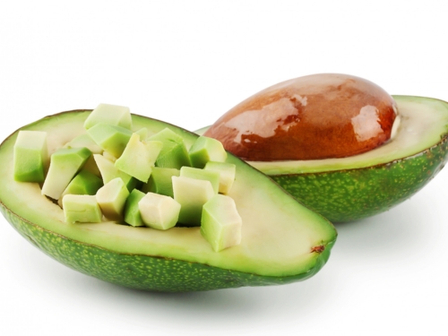 Palta / Avocado in Freehold, NJ.